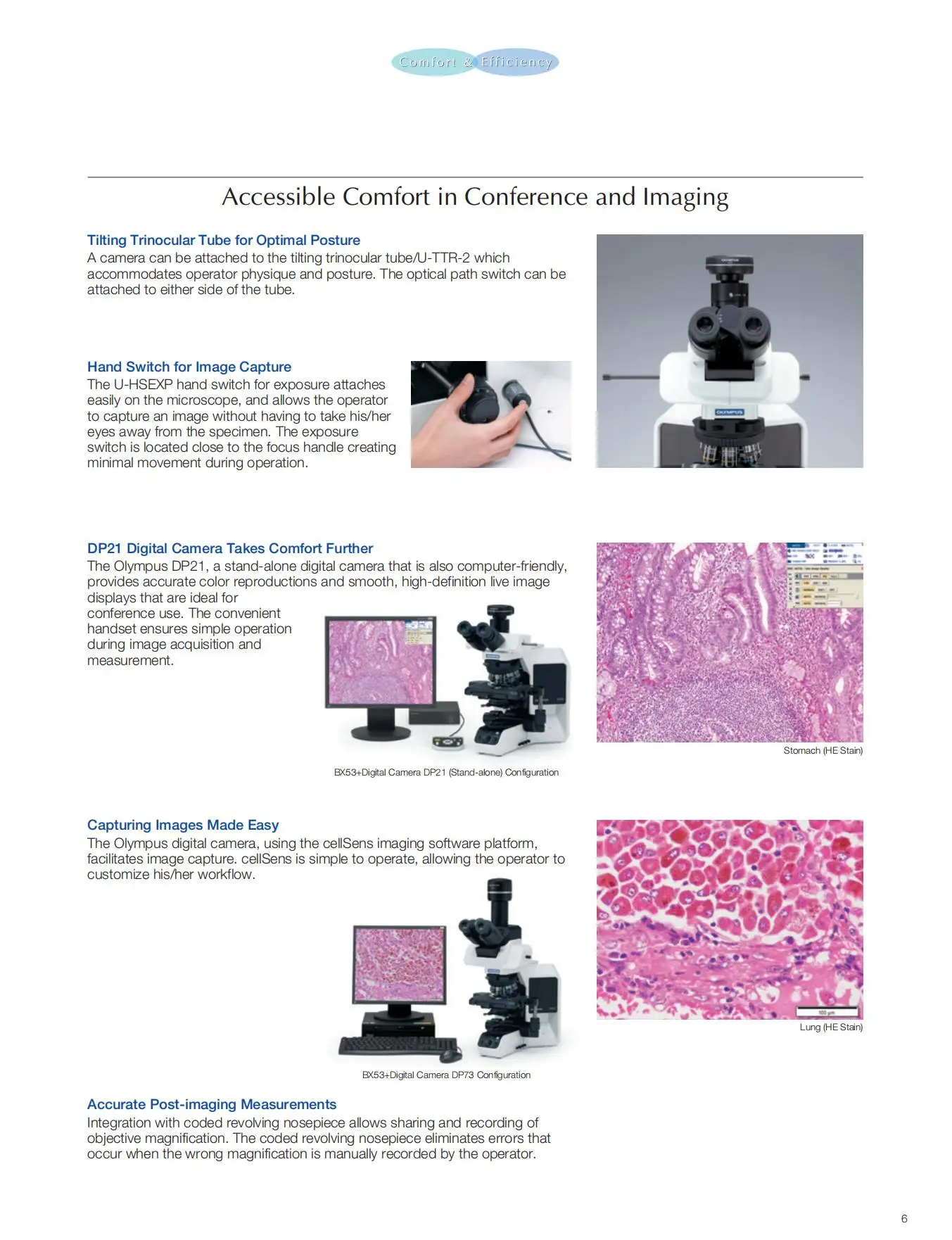 Olympus Microscope Binocular Microscope Bx53 - Buy Trinocular,Bx53,Microscope Product on Alibaba.com