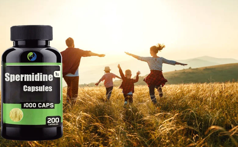 Dietary Supplement 1% Spermidine Vegan Wheat Germ Extract Spermidine ...
