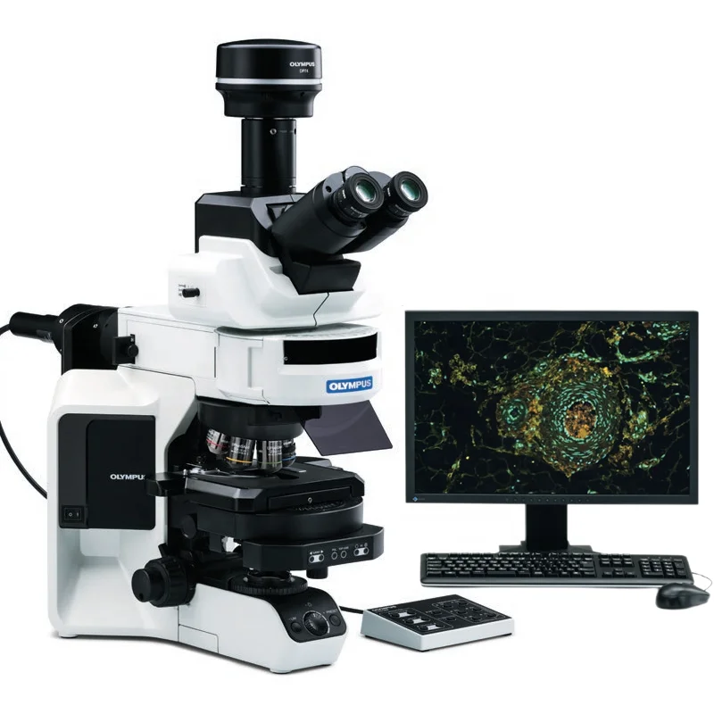 Olympus Microscope Binocular Microscope Bx53 - Buy Trinocular,Bx53,Microscope Product on Alibaba.com