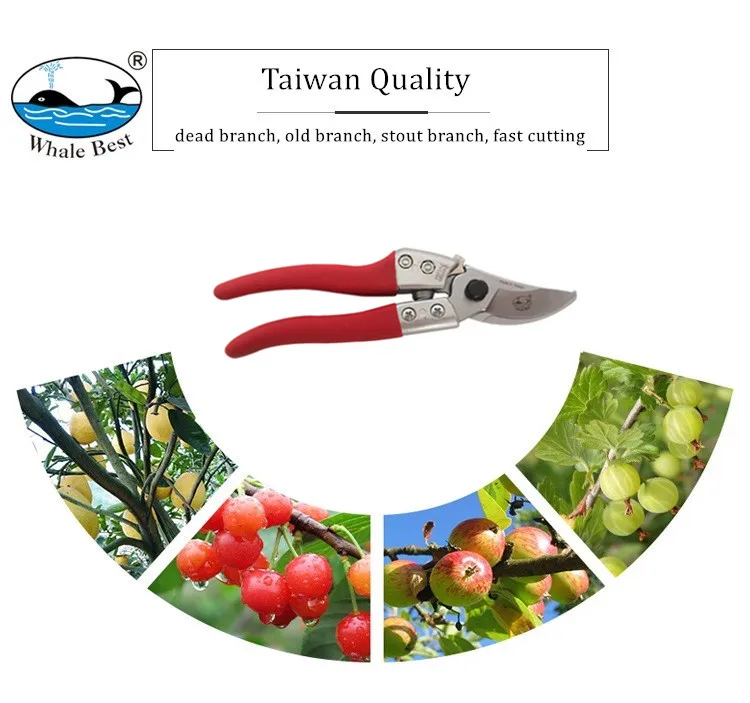 20mm Sk5 High Carbon Steel Pruning Shears - Buy Anti-callus Prunner,Pruner Shears,Cutting ...