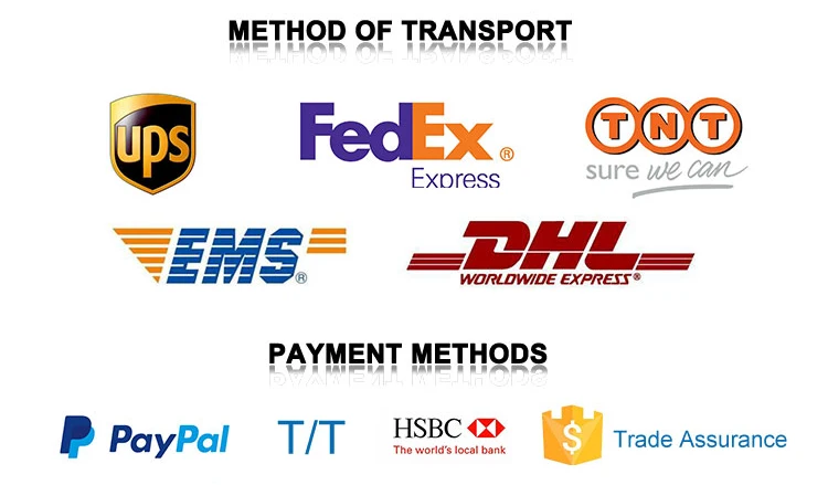 2025 Hot Selling Spanish Bear Pearl Silver Plated Diamond Beaded ...