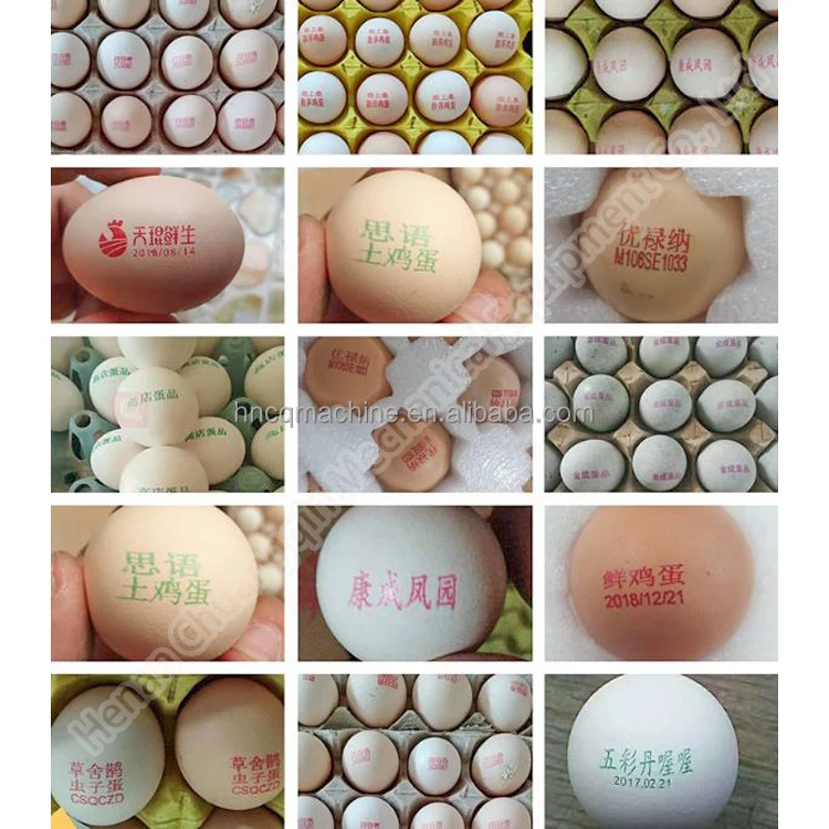 Manual Egg Printer Laser Egg Coding Printer Egg Coder With Ink Cartridge - Buy Manual Egg ...