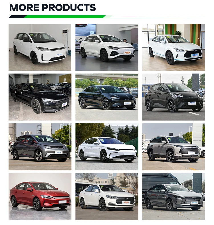 Hongqi Ls7 4.0t Elegant Flag Version 4.0t 360 Hp V8 8 Block Hands In One 5 Door 6 Seat Suv ...