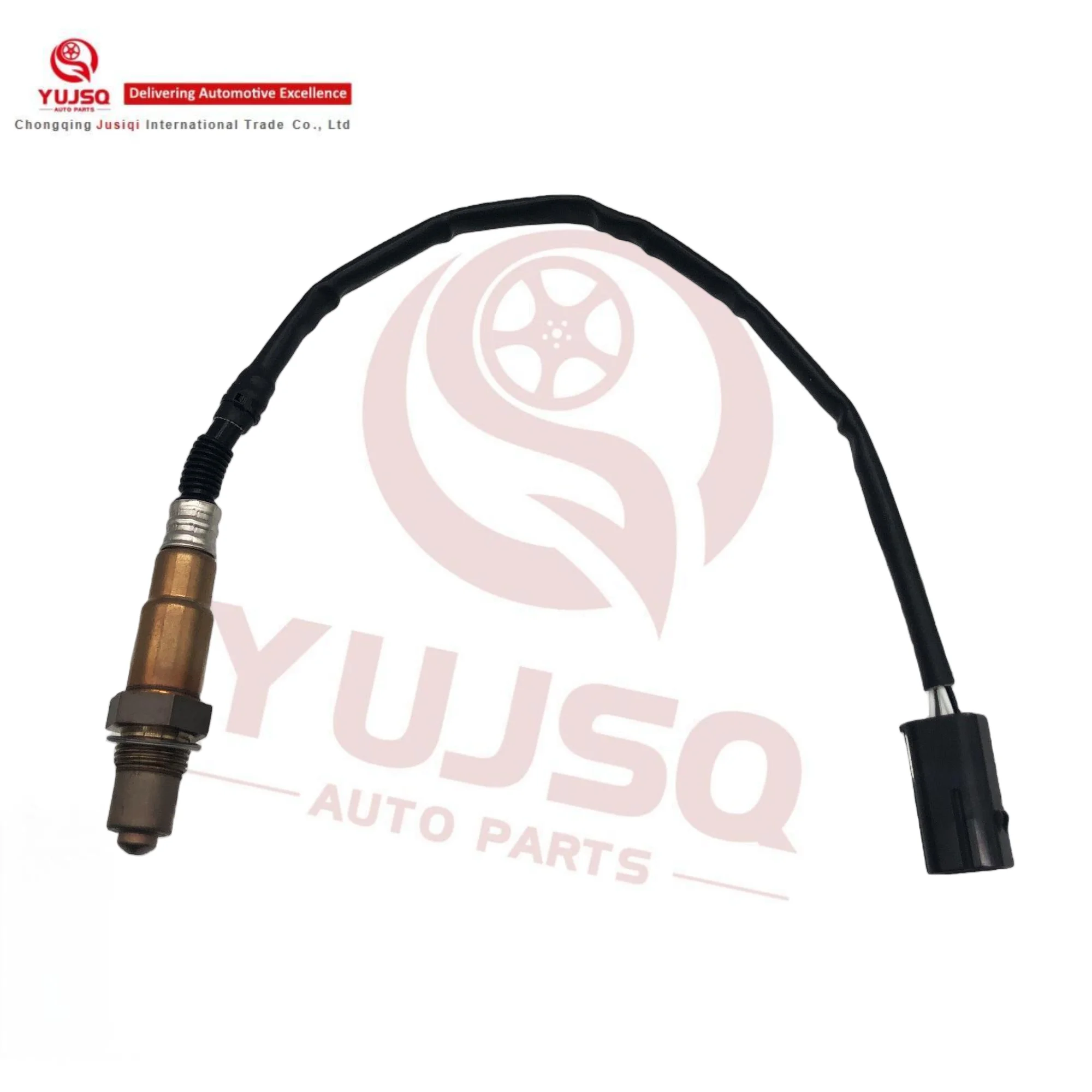 Oxygen sensor technical diagram