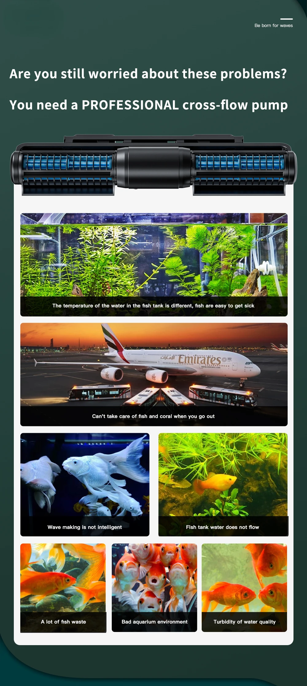 Jebao 2024 New Cross-flow Pump ECP Fish Tank Accessories Aquarium Water Pump External LCD ...