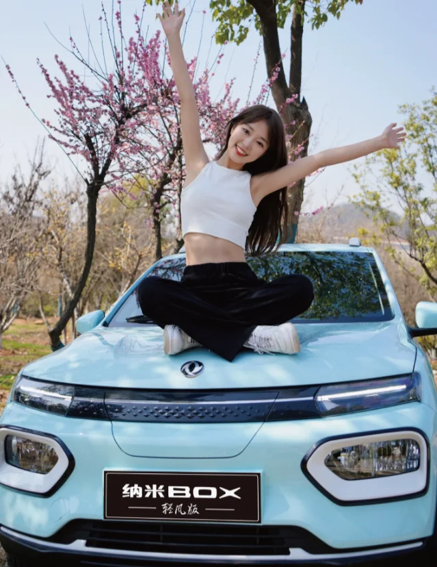 Electrico Ev Suv Car Hotselling Used Cars Carro 2022 351km 2023 Dongfeng Nano Box Electric Car ...