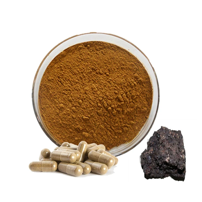 Herbal Supplement Pure Himalayan Shilajit Extract Powder Fulvic Acid 40% Natural Shilajit ...