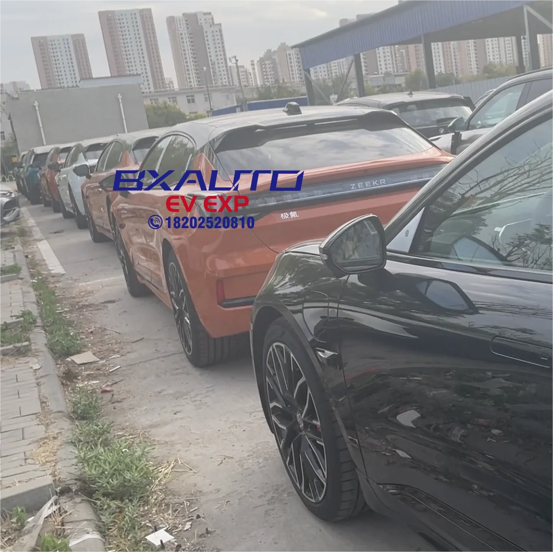 2023 Byd Dolphins 420km Mini Electric Car Free Edition Fashion Edition 50 Mark Pro Edition New ...