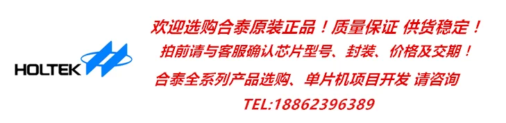 HOLTEK Burner E-Writerpro - Efficient Microcontroller Programming