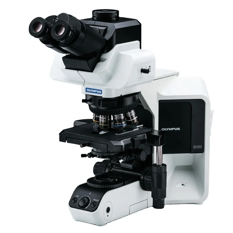 Olympus Microscope Binocular Microscope Bx53 - Buy Trinocular,Bx53,Microscope Product on Alibaba.com