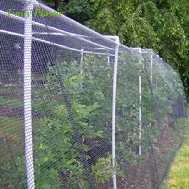 Магазин Садовод Пермь Купить Сетку От Птиц — Vik-shoping.ru