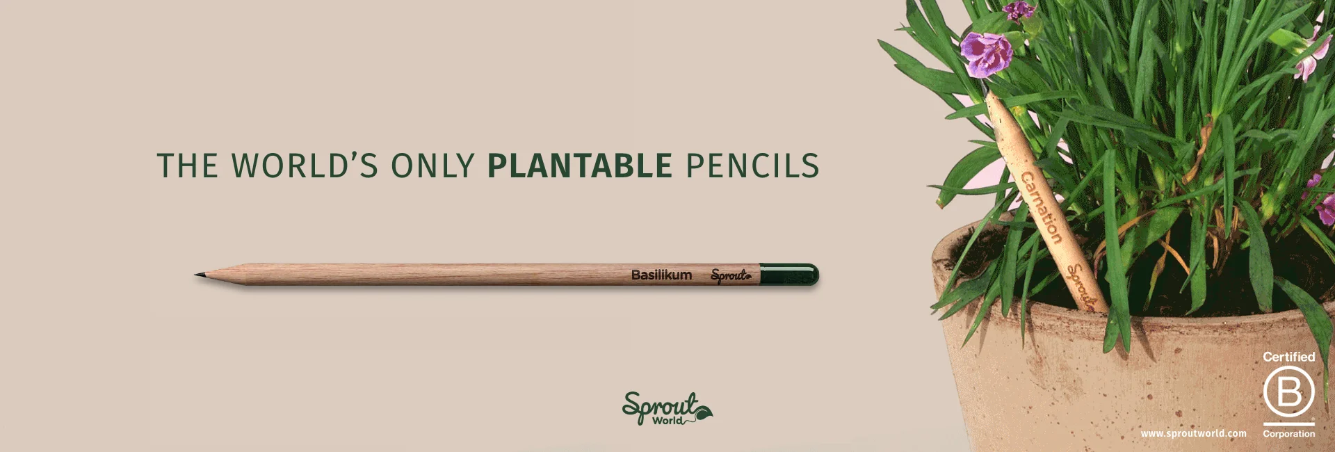 Customized Plantable Sprout Pencil Thyme Made From Certified Wood Eco ...