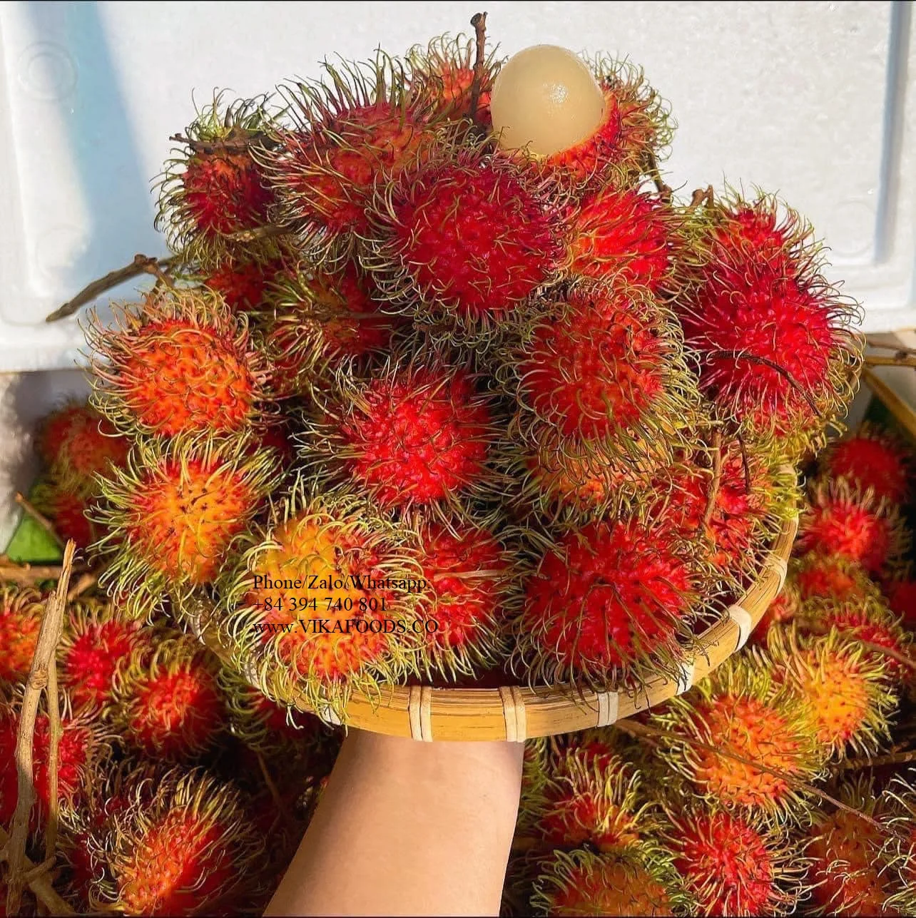 Wholesale Fresh Red Sweet Rambutan Viet Nam For Eaten Raw Or Cuisine ...