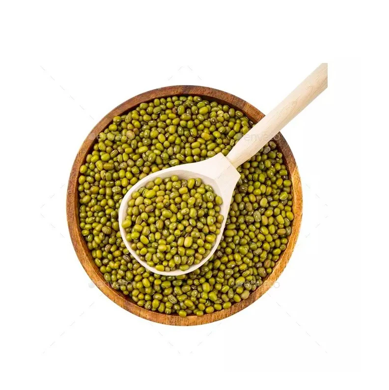 Dried Mung Bean/moong Dal Seed/sprouting Seeds Mung Bean Myanmar Origin ...