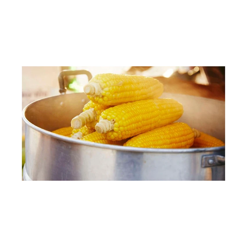 Yellow Corn Whole Frozen Corn Sweet Yellow Corn - Buy Fresh Organic ...