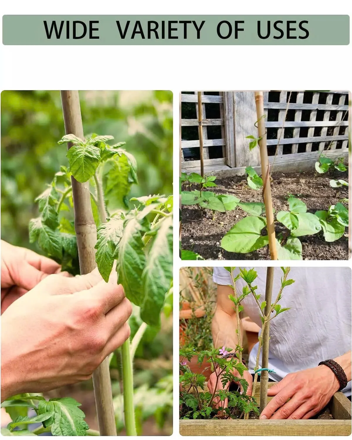 Natural Bamboo Poles Cane Strips Slats Stakes High Quality Eco2go ...