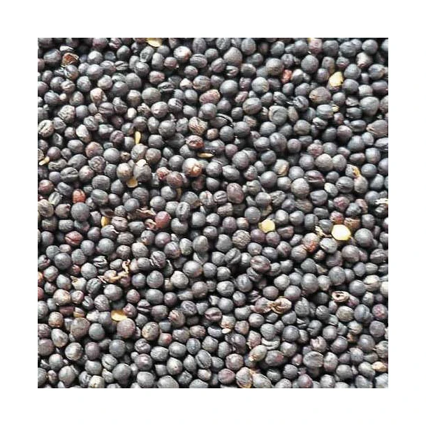 Black Rape Canola Seed Rape Seed Cleaned For Sale - Buy Wholesale ...