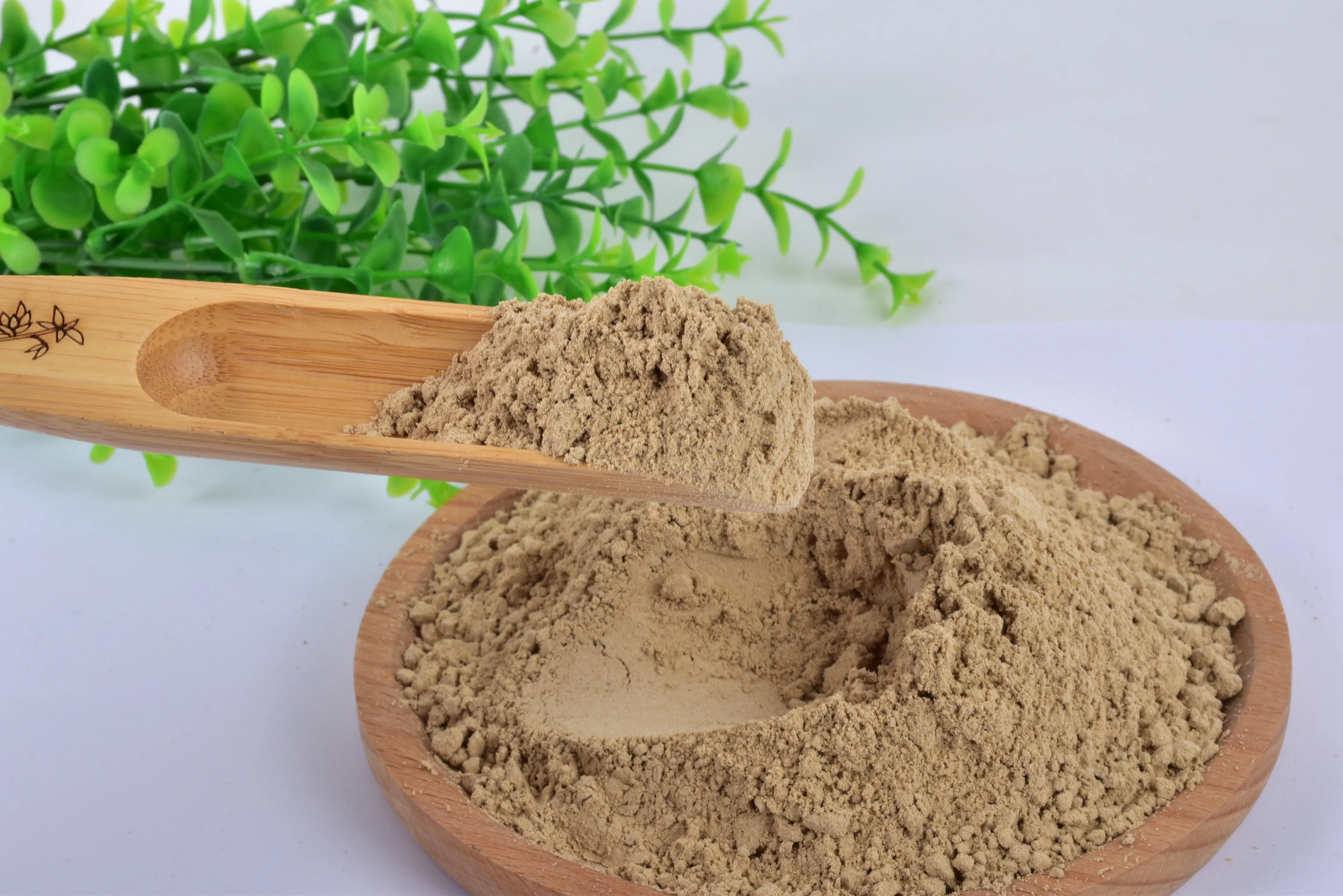 Sino Crown Animal-feed Fish Meal Defatted Mealworm Protein Powder - Buy ...