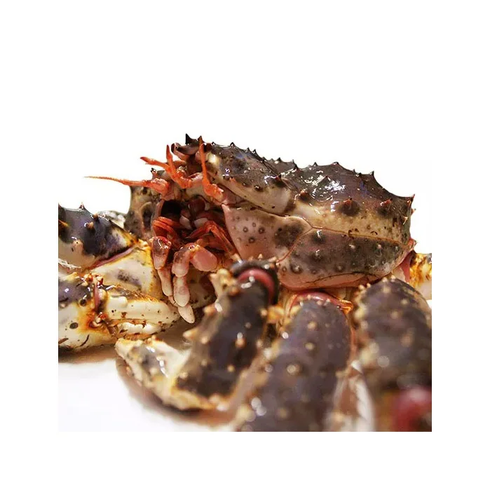Fresh Red King Crab Fresh/frozen/live Red King Crabs,Soft Shell Crabs ...