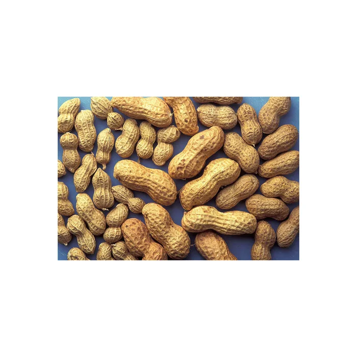 Red Peanut,Blanched Peanut Kernels,Bold Peanutsblanched Peanuts Java ...