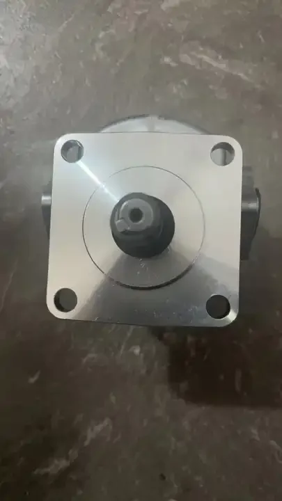 Nihon Speed Hydraulic Gear Pump K1p1r11a K1p2r11a K1p3r11a K1p4r11a ...