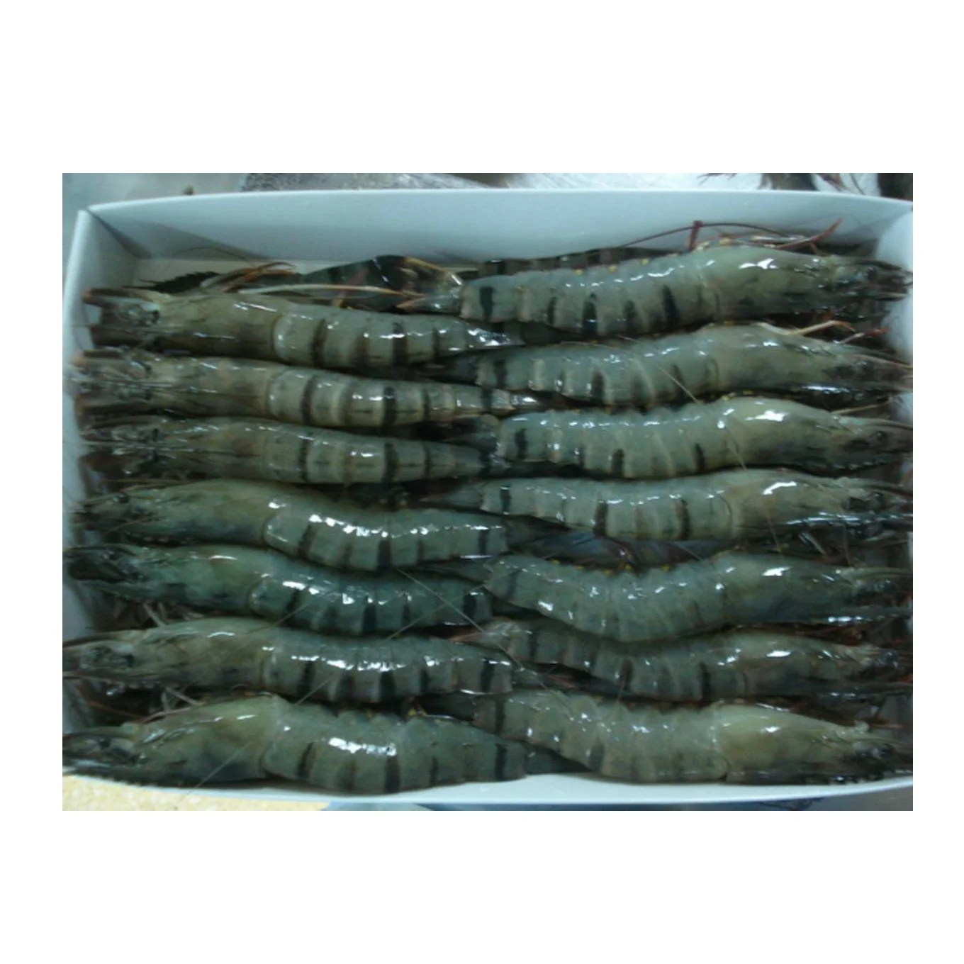 Black Tiger Prawn,Fresh Seafood High Quality Peeled Shrimp Black Tiger ...