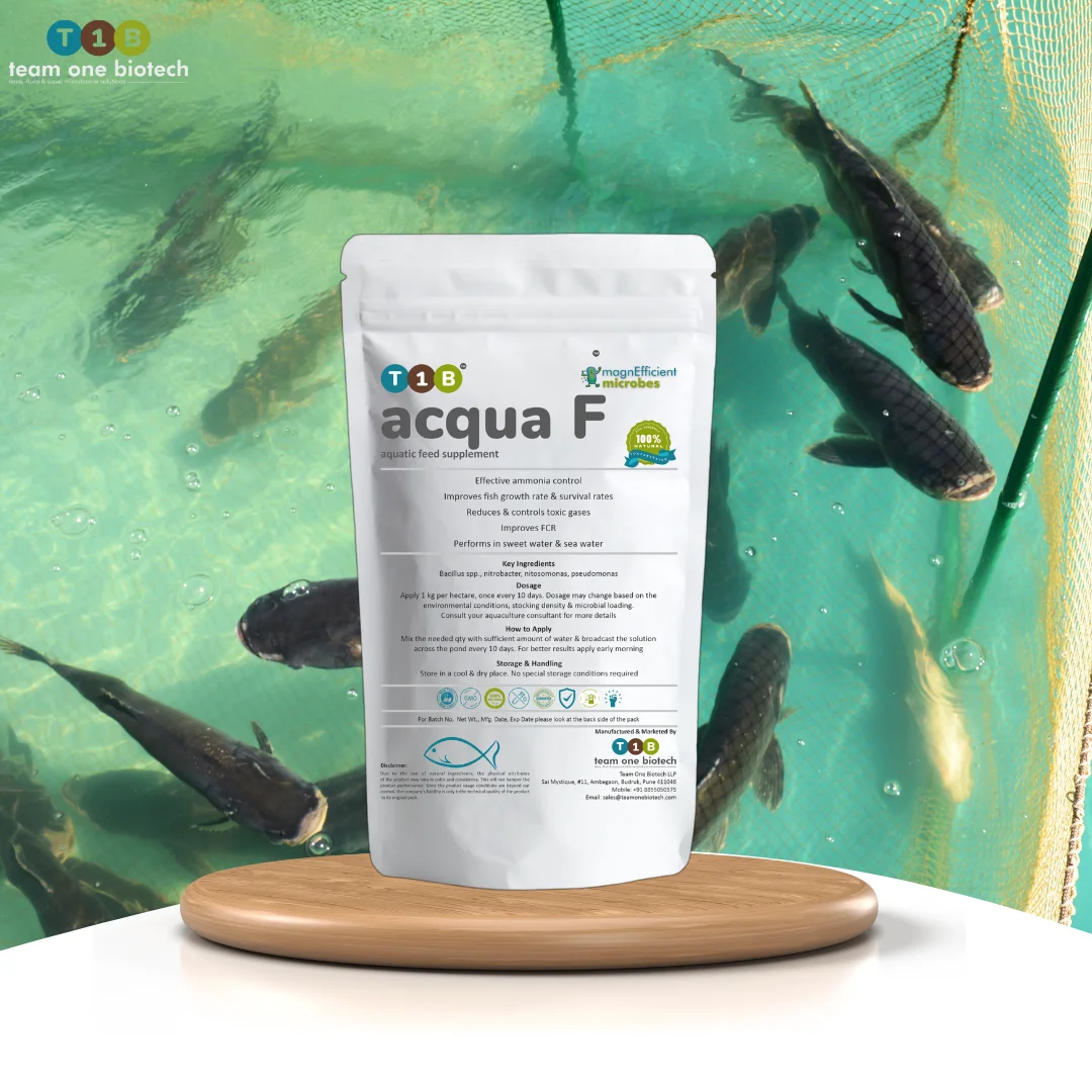 Probiotic Additive for Aquaculture Systems Effective in Reducing ...