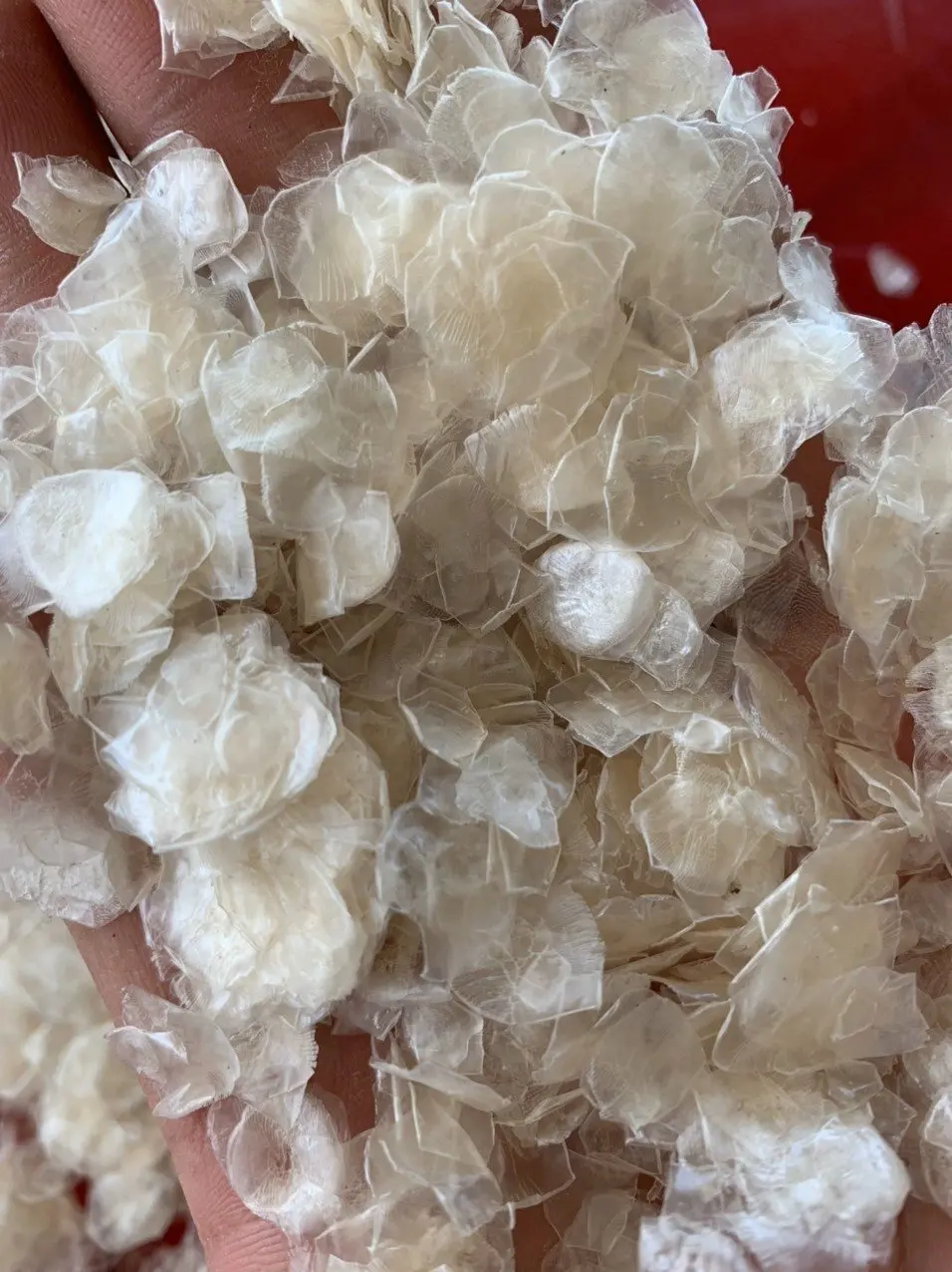 Best Selling 2024 Fish Scales Quality From Vietnam Supplier - Buy Fish ...