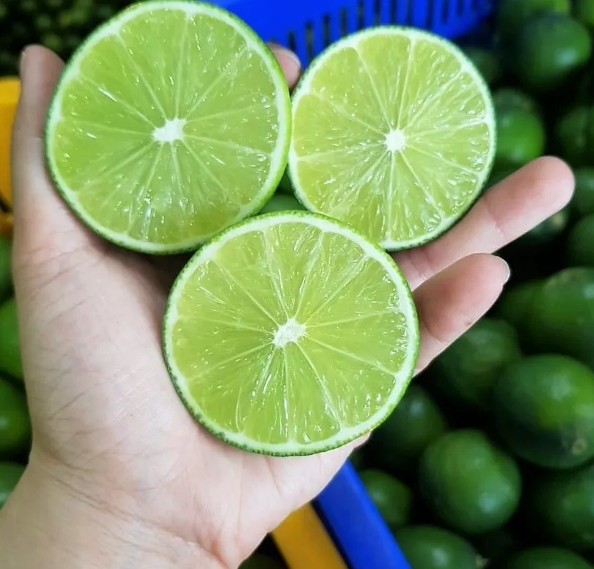 VIETNAM SEEDLESS FRESH LEMON/ GREEN LIME NATURAL FRESH CITRUS FRUIT ...