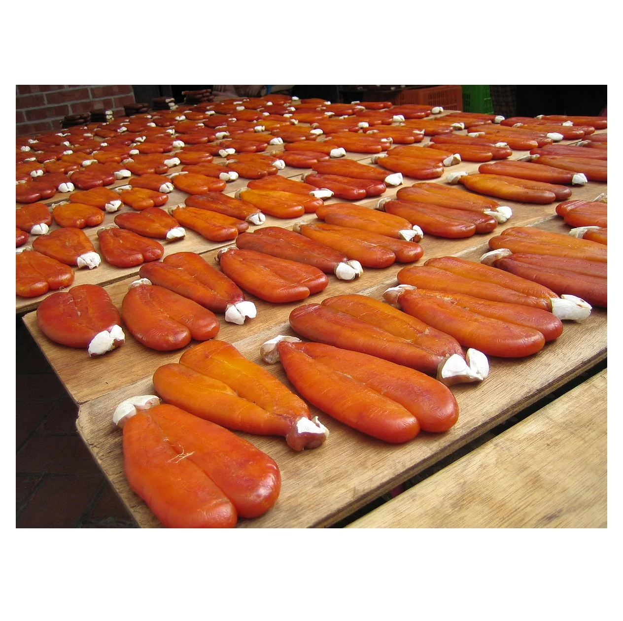 Best Price Dried Mullet Roe (seafood) Available - Buy Frozen Cod Roe ...