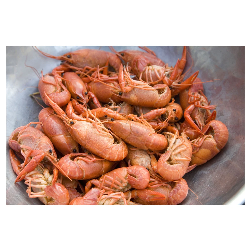 Factory Price Cheap Frozen Lobster/frozen Crawfish Tails Crayfish - Buy ...