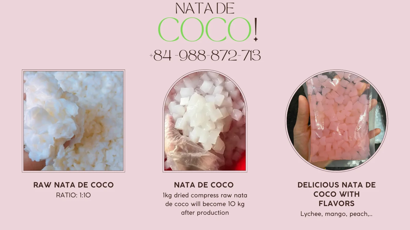 Nata De Coco 100% Made From Natural Ingredients,Delicious,Nutritious ...