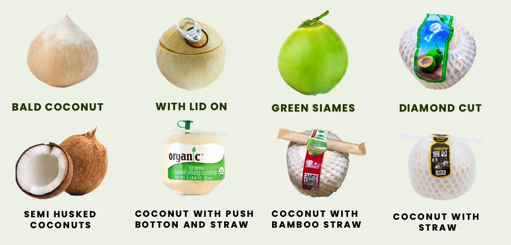 This product is no longer available.