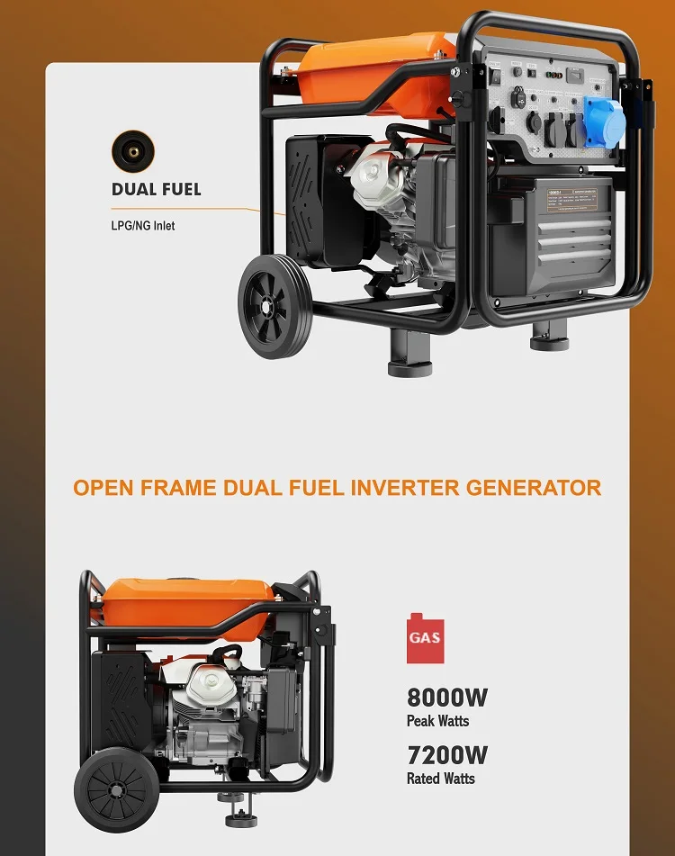 Wholesale 8000 Watt Portable Generator Duel Fuel Gas Powered with ...