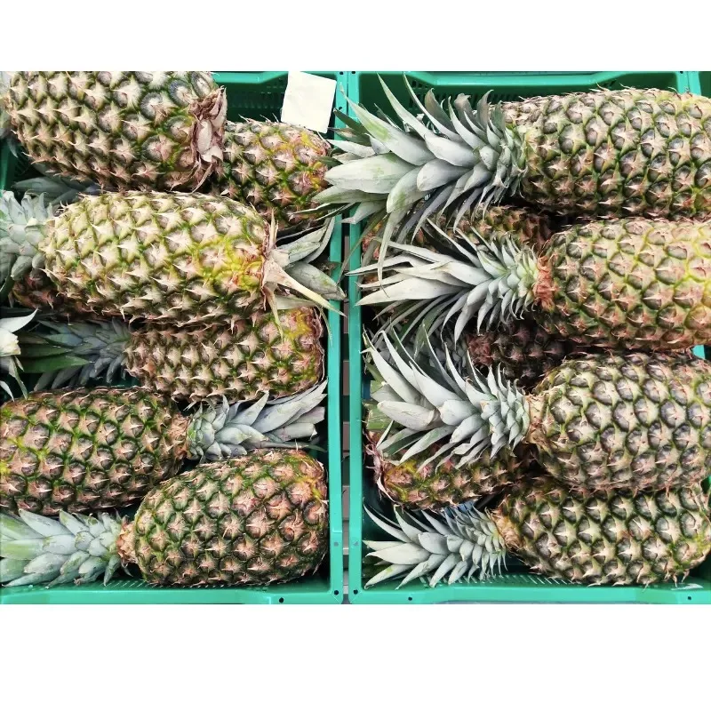 Wholesale Price Sweet MD2 Pineapple Fruits - Fresh Exporter