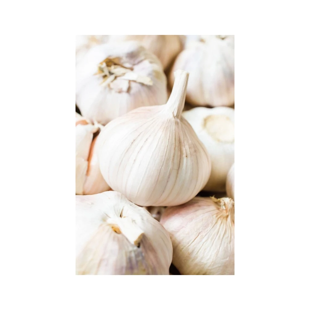Organic Garlic Powder Money Saving Product Garlic Powder Tested And ...
