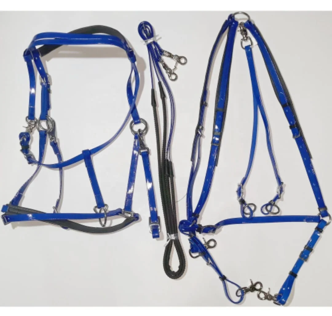 Fancy Biotane Horse Riding Endurance Set Multifunctional Martingale ...