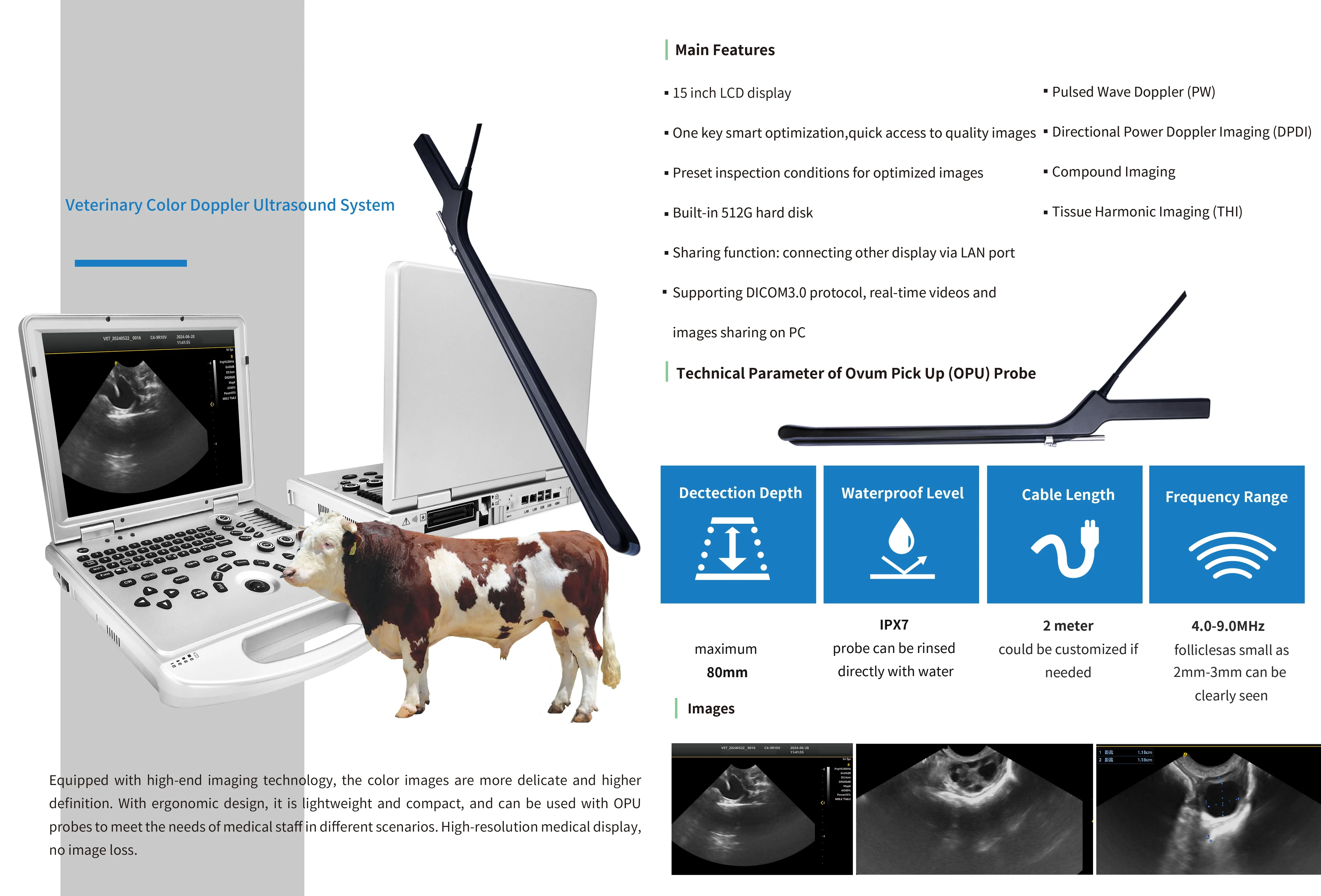 China Professional Animal Color Doppler Ultrasound Machine