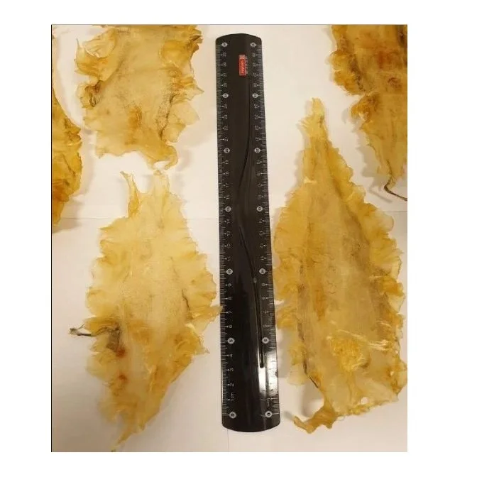 Wholesale Price Cod Swim Bladder Frozen Cod Bladder - Buy Wholesale ...