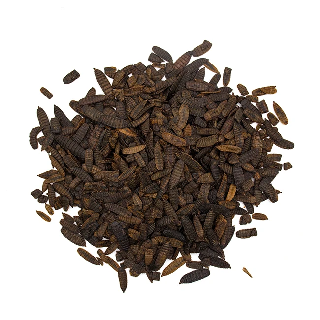 Black Soldier Fly Larvae Dried Fast Delivery Export Animal Feed High ...