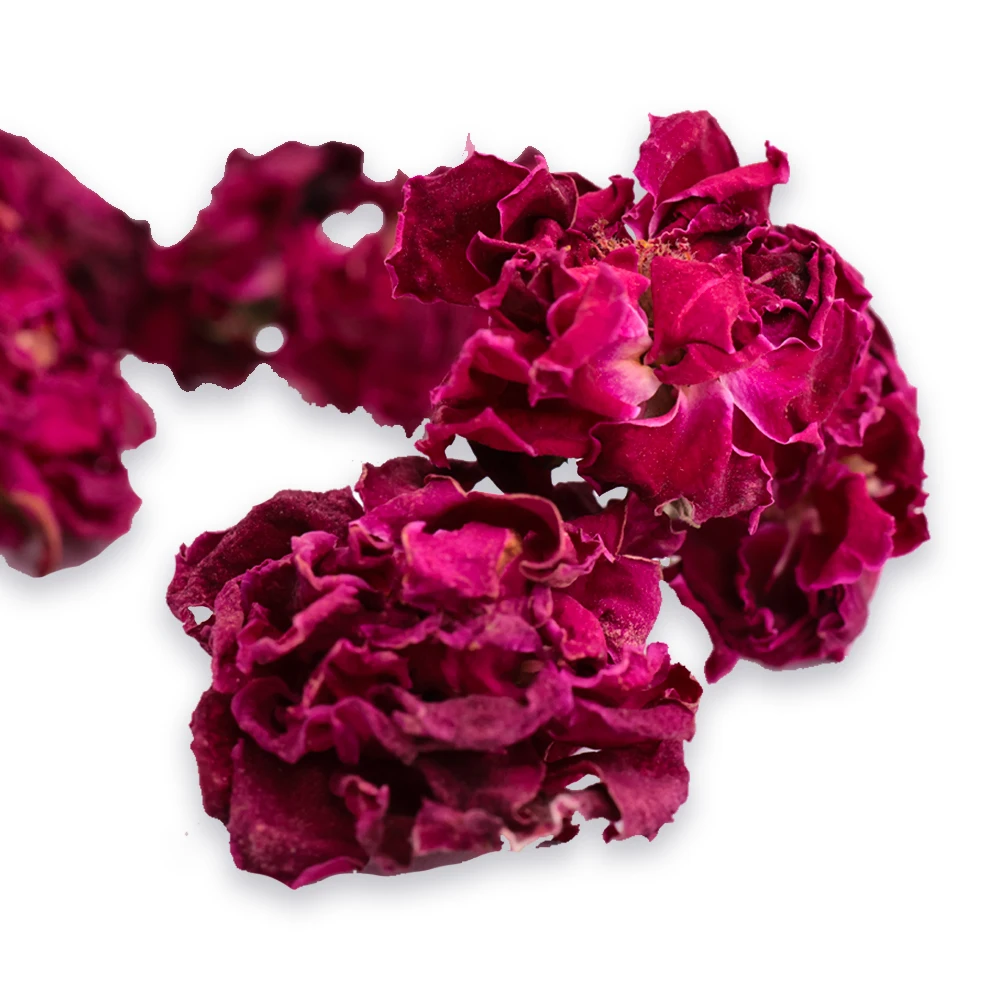 Fresh Cut Dried Red Rose Flower| Alibaba.com