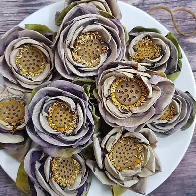 Large Quantities Export Dried Lotus Flower at Competitive Price ...