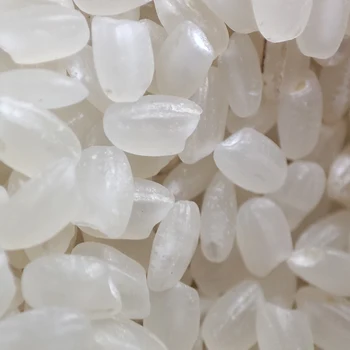 Vietnam Rice Supplier Japonica Sushi Rice Wholesale Riz Riso,Short ...