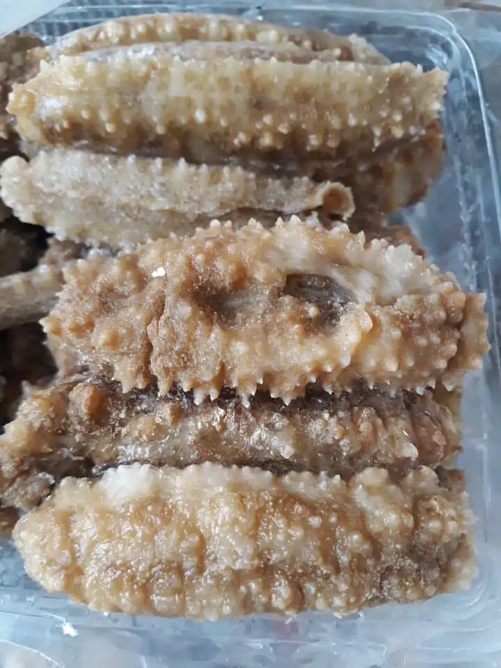 High Quality Dried Sea Cucumber Fresh Style Turkish Seacucumber From ...