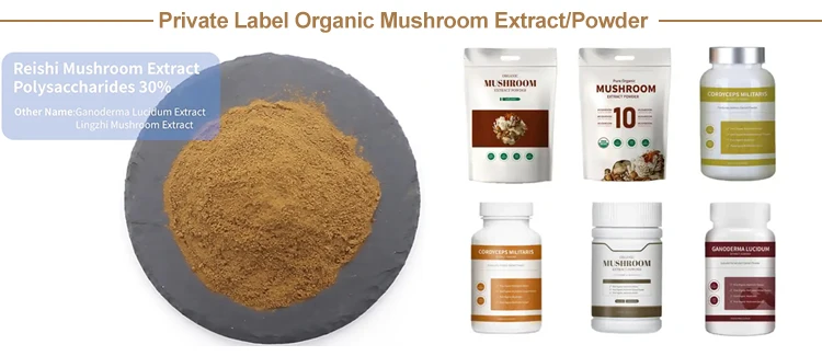 Chinese Manufacturer Bulk Price Organic Reishi Mushroom Powder Ganoderma Lucidum Extract