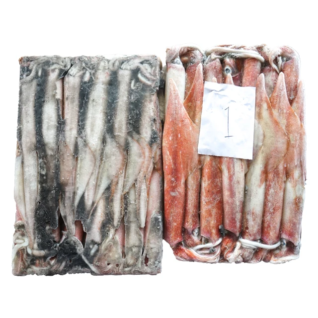 China Frozen Fresh Whole Squid for Sale| Alibaba.com