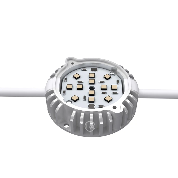 Cutout 62mm DC24v IC RGB Led Pixel Lamps 4w IP67 Dome Cover Led Pixel ...