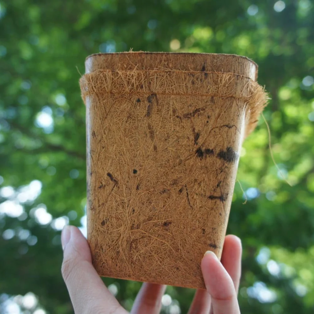 Biodegradable Coconut Coir Grow Nursery Plant Pot Coconut Fiber Cups ...