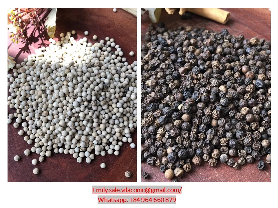 Black Pepper 2024 All Types 500 550 570 600 Gl Faq Clean Wholesale With ...