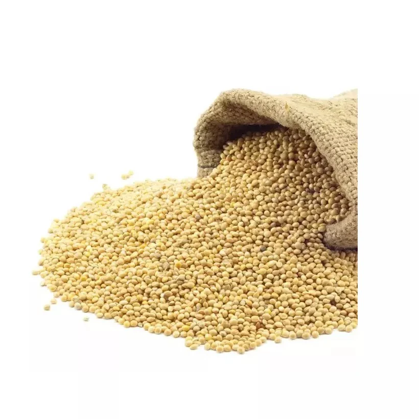 100% Dried Whole Millets Grains For Animal Feed Food Grade Organic ...